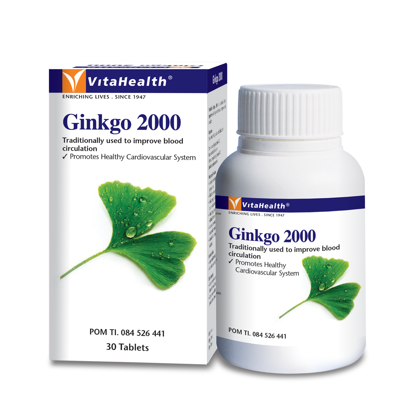 Ginkgo 2000mg – VitaHealth